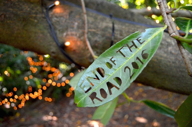 End Of The Road Review – Part 1 – For The Rabbits