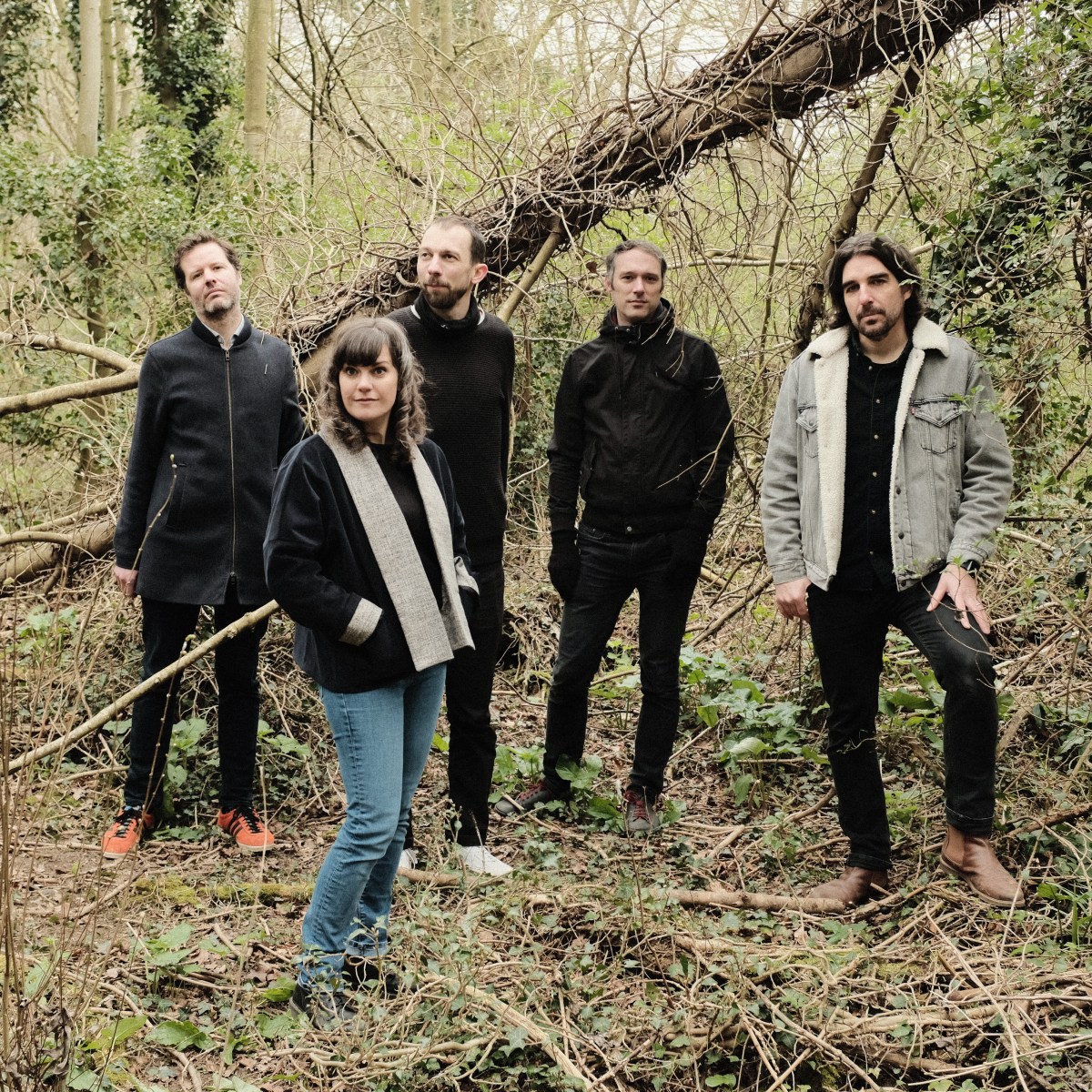 Get To Know – Fuzzy Lights – For The Rabbits